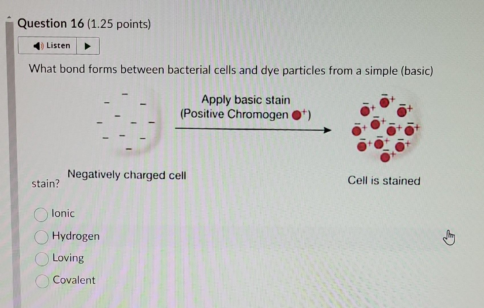 Solved Did not primary stain long enough Under-Decolorized | Chegg.com
