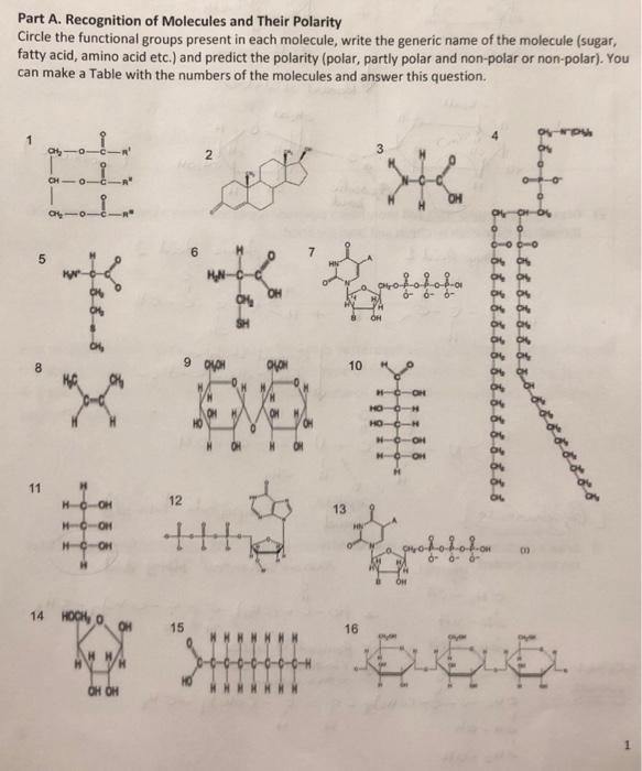 Solved Part A. Recognition of Molecules and Their Polarity | Chegg.com