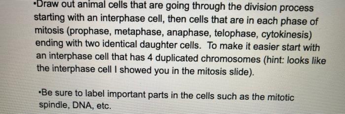 Solved •Draw out animal cells that are going through the | Chegg.com