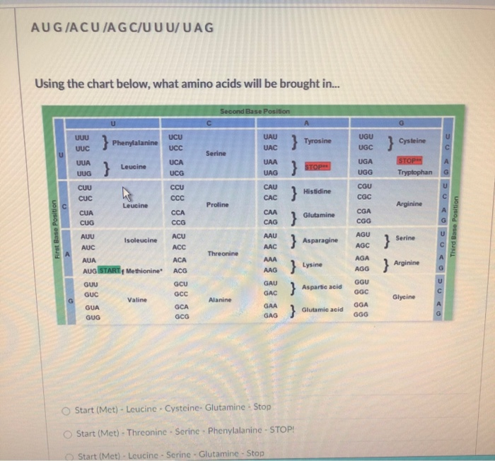 Solved AUG/ACU/AGC/UU U/UAG Using the chart below, what | Chegg.com