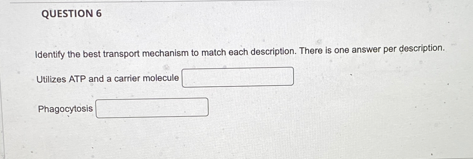Solved QUESTION 6Identify the best transport mechanism to | Chegg.com