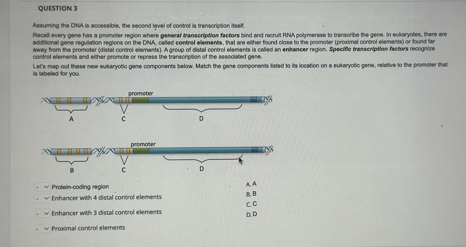 Solved QUESTION 3Assuming the DNA is accessible, the second | Chegg.com