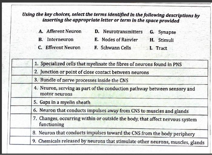 Solved Using the key choices, select the terms identified in | Chegg.com