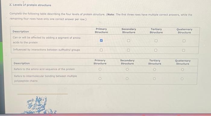 Solved 2. Levels of protein structure Complete the following | Chegg.com