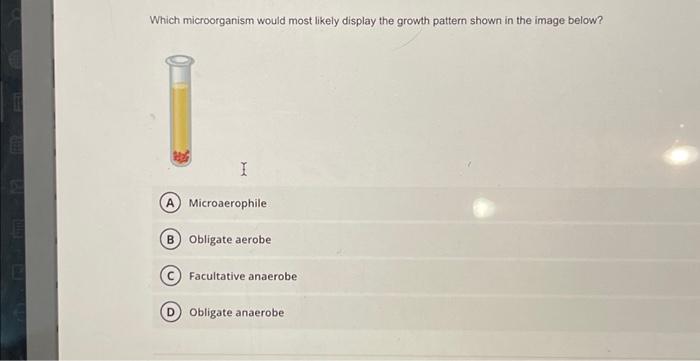 Solved Which microorganism would most likely display the | Chegg.com