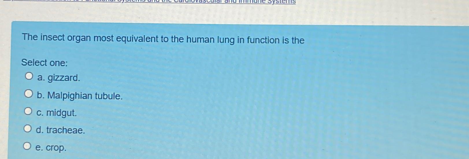 Solved The insect organ most equivalent to the human lung in | Chegg.com