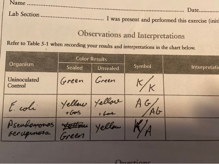 Solved Name Lab Section ... Date............ I was present | Chegg.com