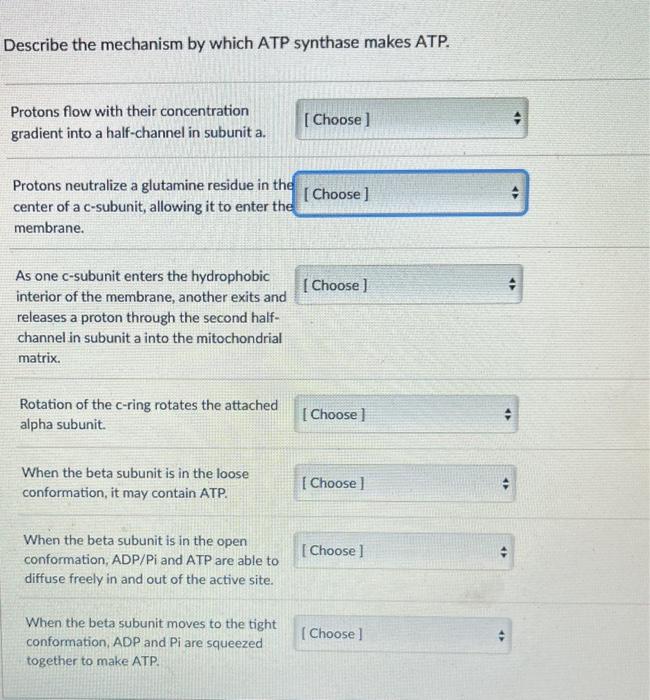 Solved Describe the mechanism by which ATP synthase makes | Chegg.com