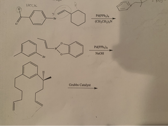 Solved + My Heck Pd(PPhy) (CH2CH),N Pd(PPhg)4 NaOH Grubbs | Chegg.com