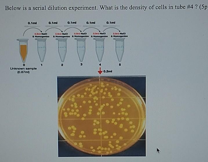Solved Below is a serial dilution experiment. What is the | Chegg.com