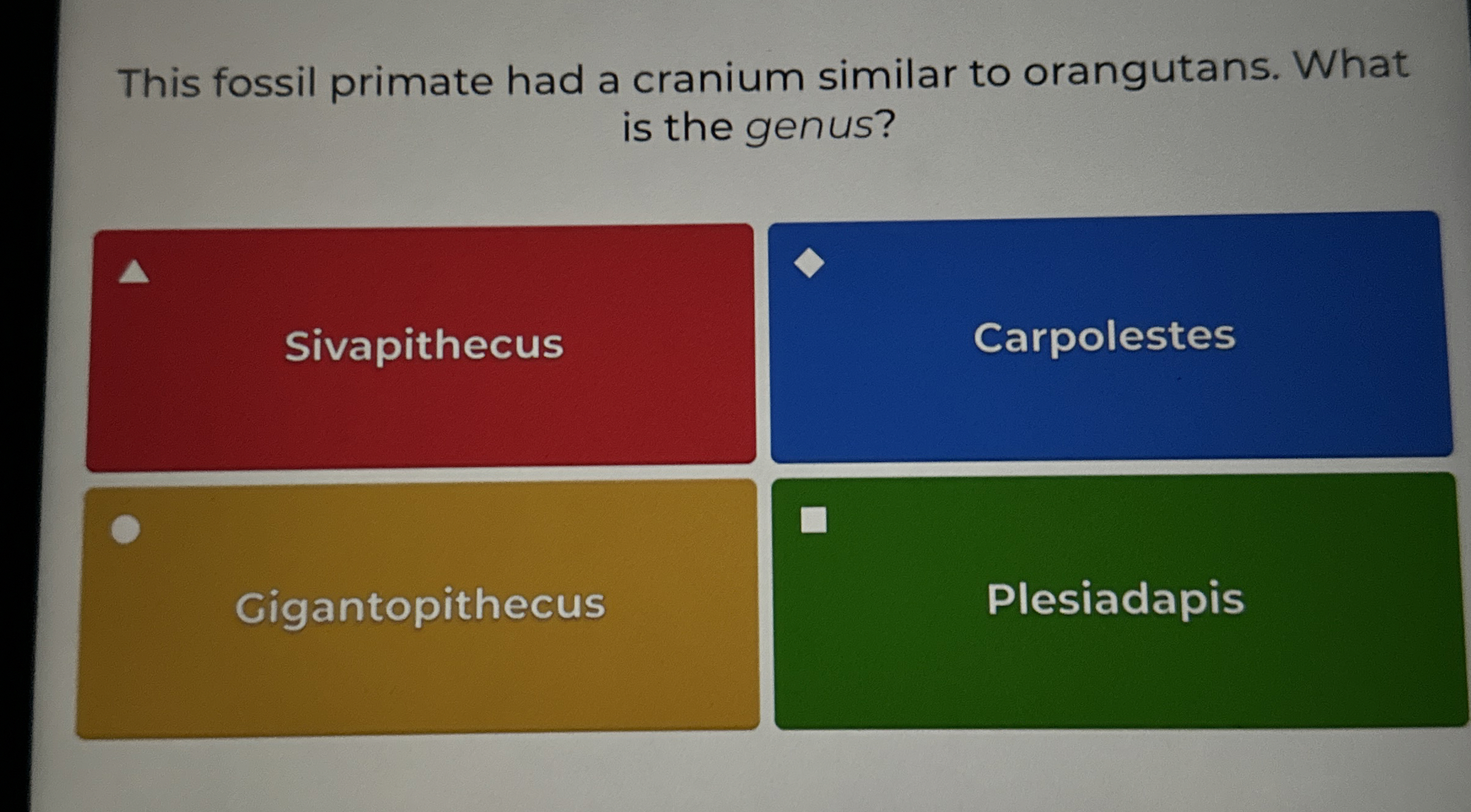 Solved This fossil primate had a cranium similar to | Chegg.com
