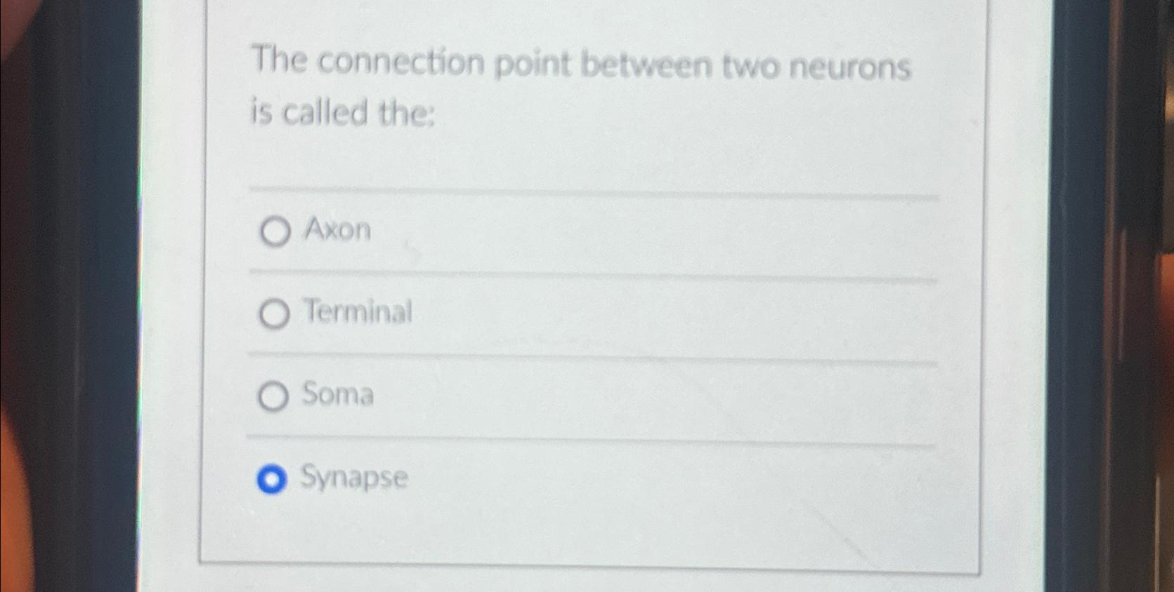 Solved The connection point between two neurons is called | Chegg.com