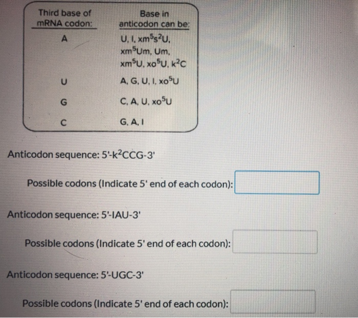 Solved Third base of mRNA codon: Base in anticodon can be U. | Chegg.com