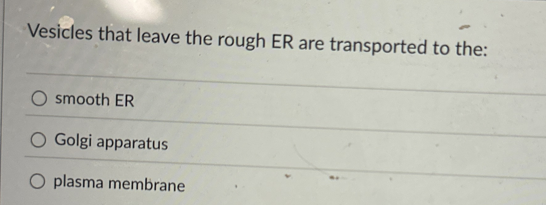 Solved Vesicles that leave the rough ER are transported to | Chegg.com
