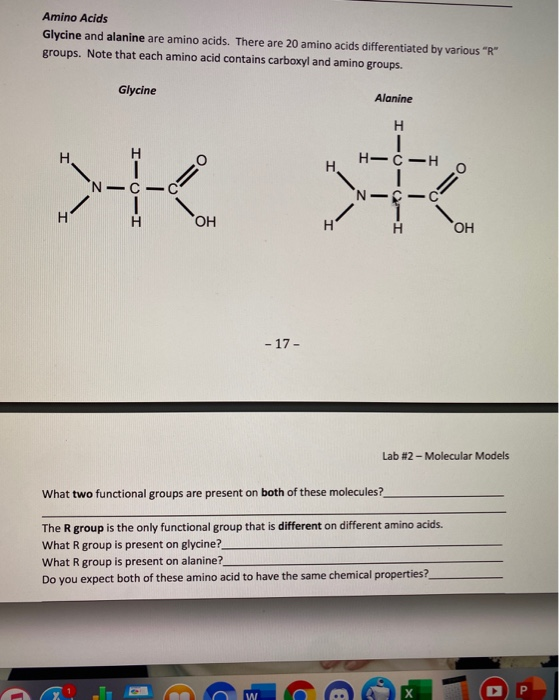 Solved Amino Acids Glycine and alanine are amino acids. | Chegg.com