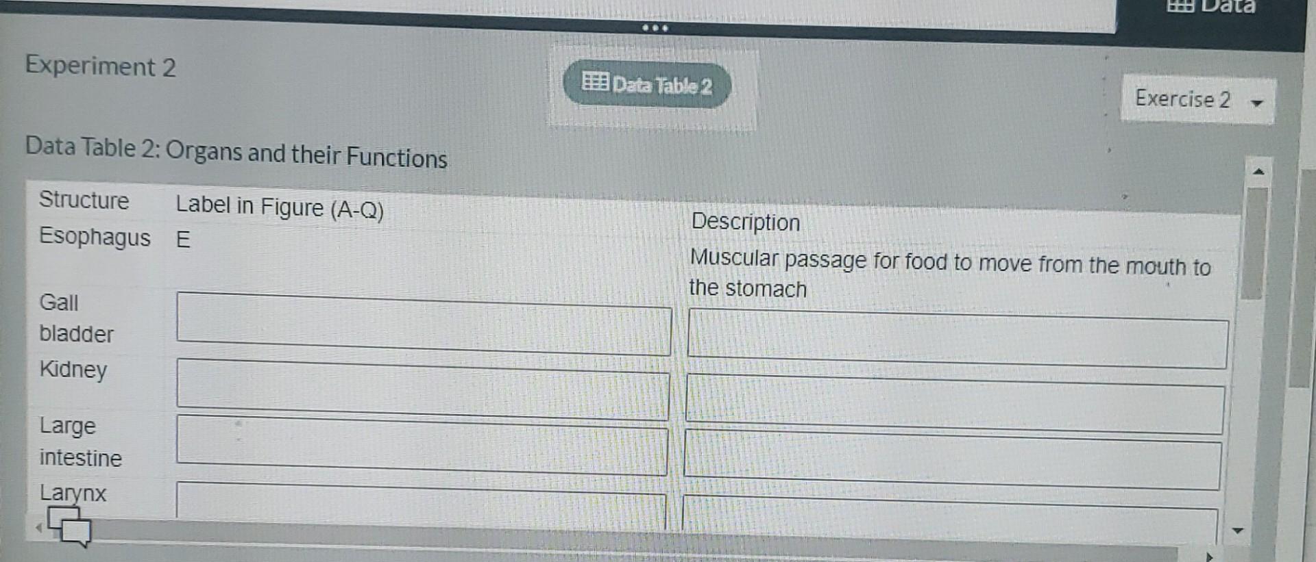 Data Table 2: Organs and their Functions Experiment | Chegg.com