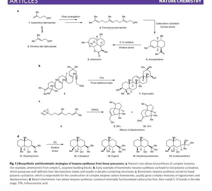 Solved ARTICLES NATURE CHEMISTRY Chain propagation Opp 1. | Chegg.com