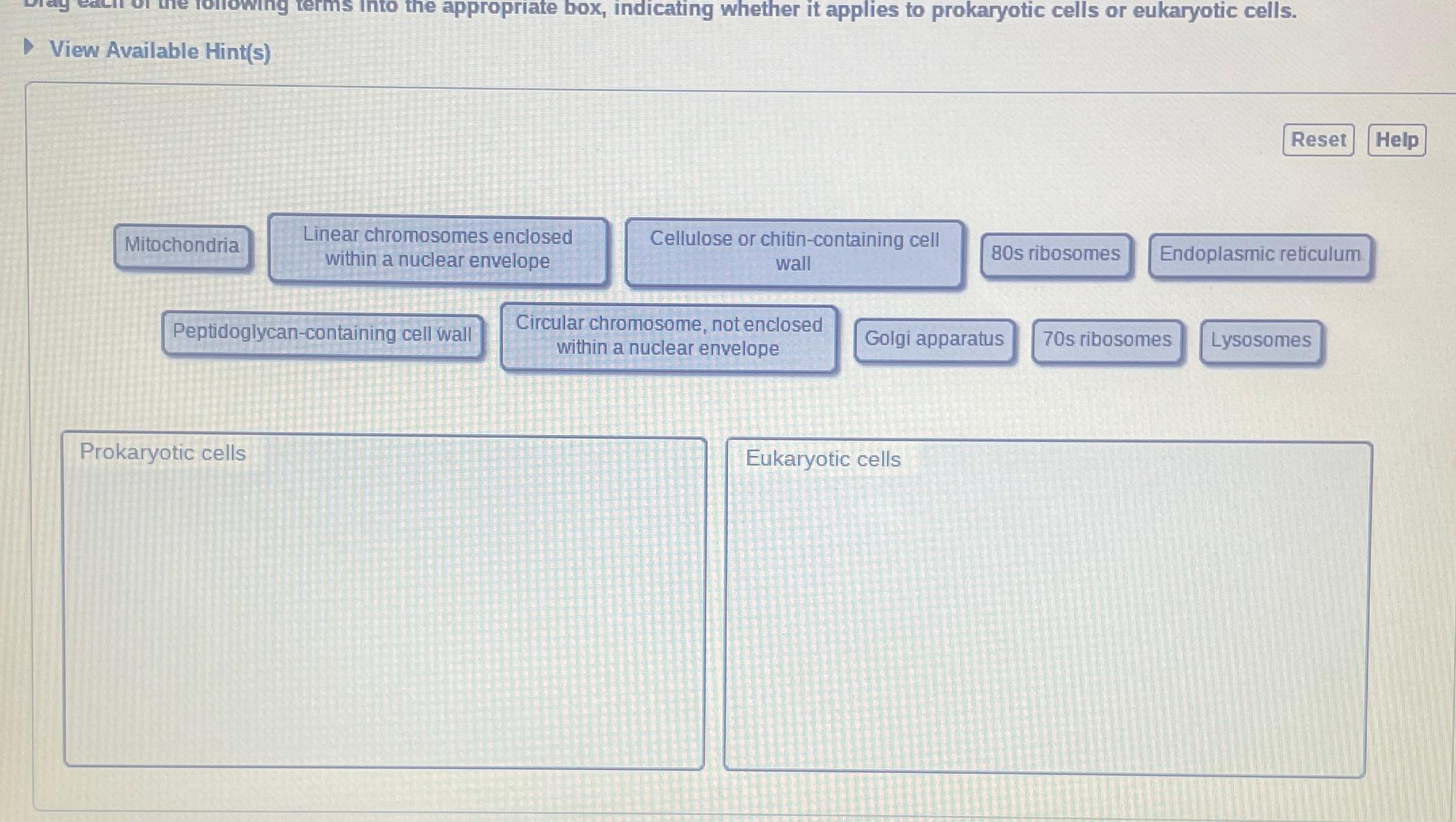 Solved View Available Hint(s)ResetHelpProkaryotic | Chegg.com