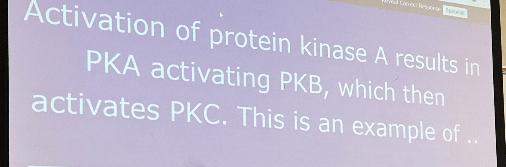 Solved Activation of protein kinase A results in PKA | Chegg.com
