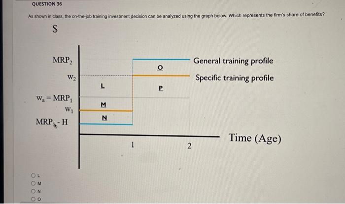 Solved As shown in class, the on-the-job training investment | Chegg.com