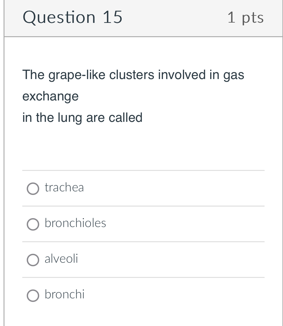 Solved Question 151 ﻿ptsThe grape-like clusters involved in | Chegg.com
