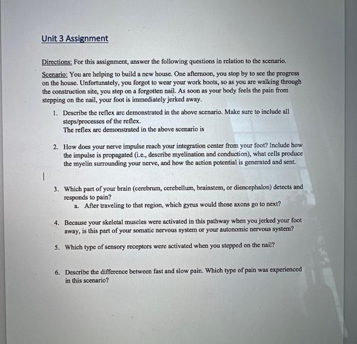 Solved Directions: For this assignment, answer the following | Chegg.com