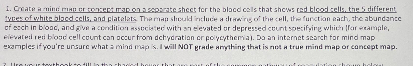Solved Create a mind map or concept map on a separate sheet | Chegg.com