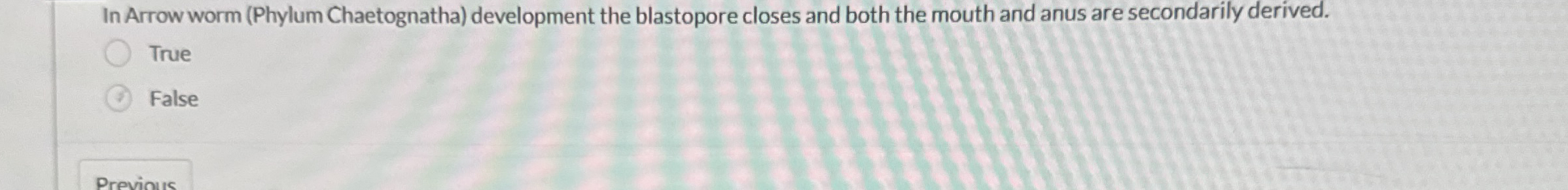 In Arrow worm (Phylum Chaetognatha) ﻿development the | Chegg.com