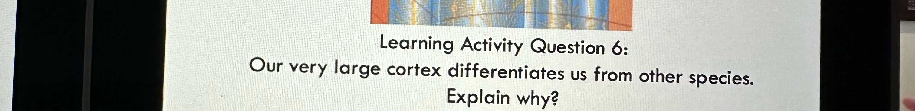 Solved Learning Activity Question 6:Our very large cortex | Chegg.com