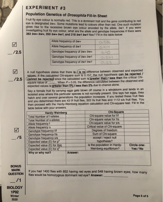 EXPERIMENT #3 Population Genetics of Drosophila | Chegg.com