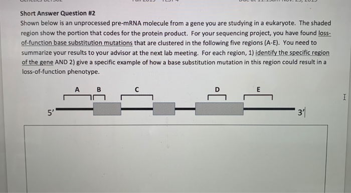 Solved 2. Shown below is an unprocessed pre-mRNA molecule | Chegg.com