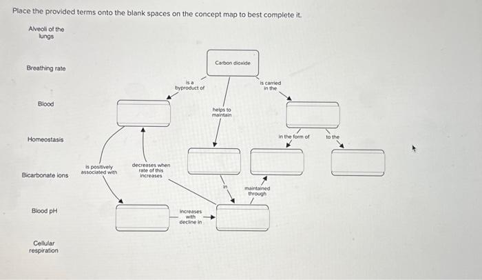 Solved Place the provided terms onto the blank spaces on the | Chegg.com