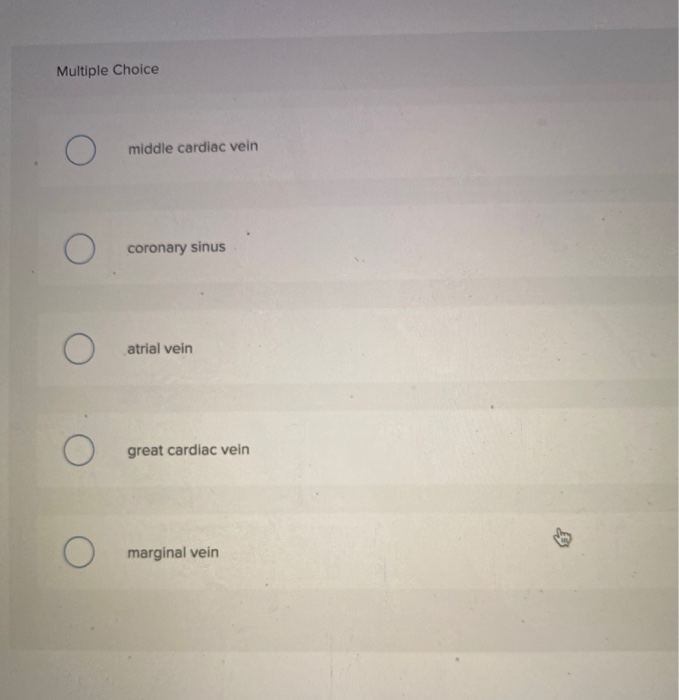 Solved Which structure is highlighted? Multiple Choice | Chegg.com