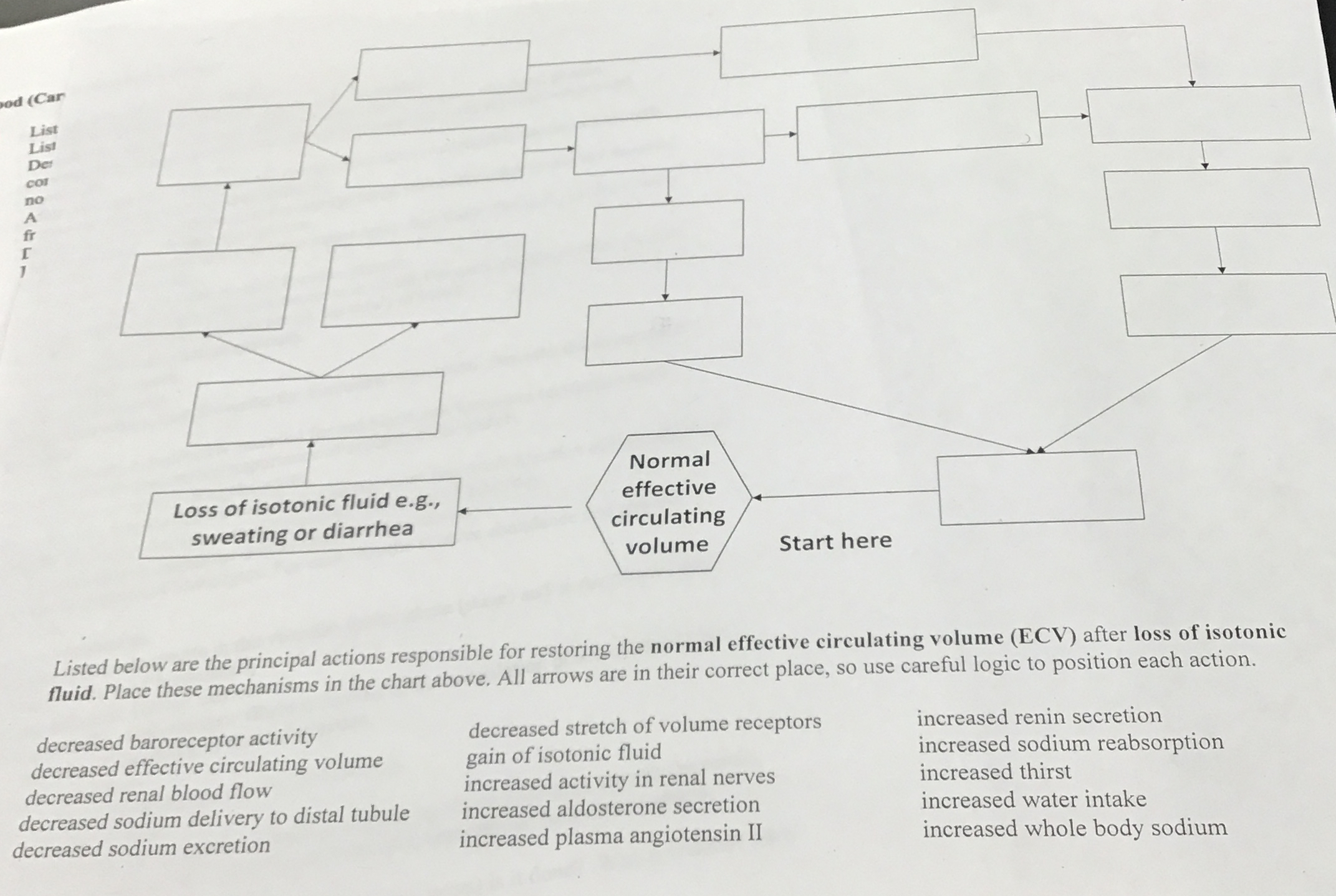 Listed below are the principal actions responsible | Chegg.com