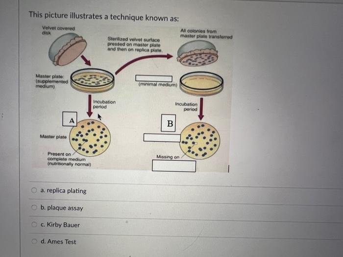 Solved This picture illustrates a technique known as: a. | Chegg.com