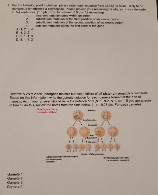 Solved 2. For the following point mutations, please order | Chegg.com