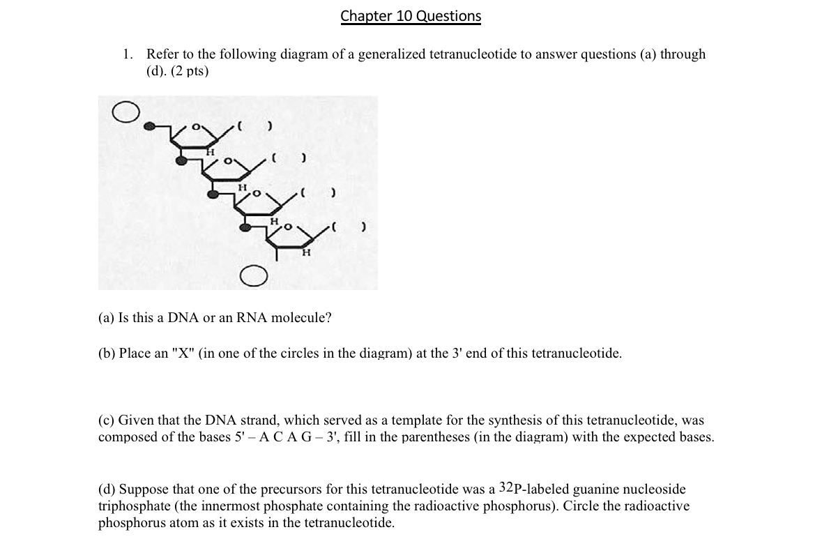 Solved Chapter 10 ﻿QuestionsRefer to the following diagram | Chegg.com