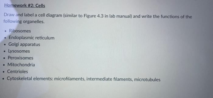 Solved Homework \#2: Cells Draw and label a cell diagram | Chegg.com