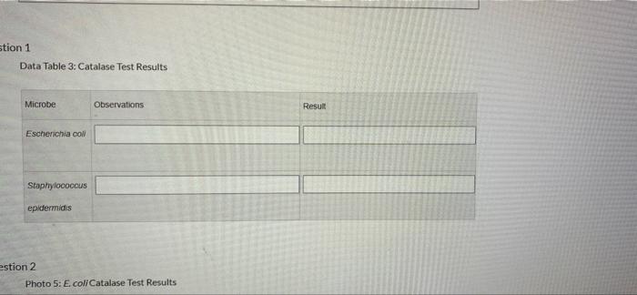 Solved stion 1 Data Table 3: Catalase Test Results Microbe | Chegg.com
