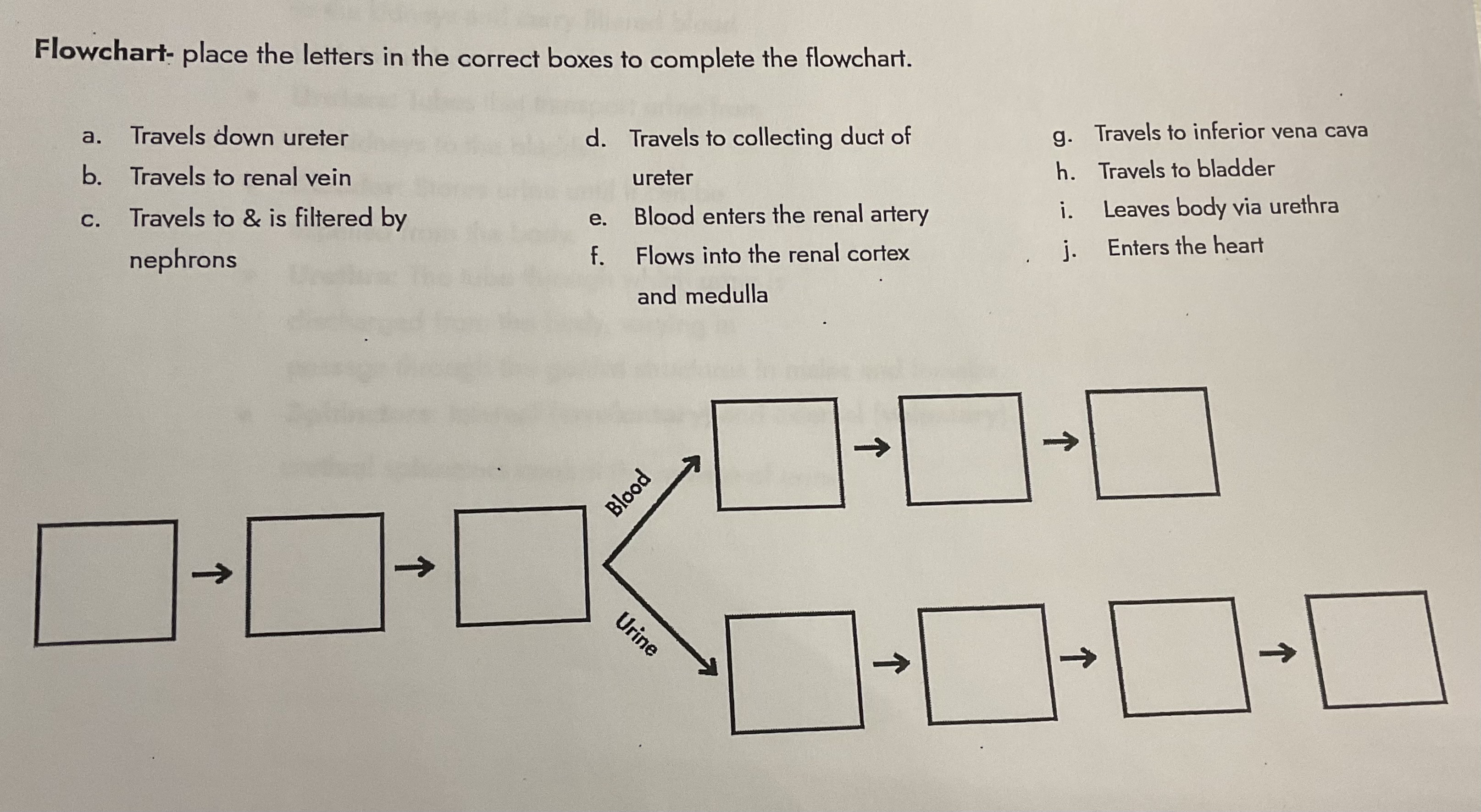 Solved Flowchart- ﻿place the letters in the correct boxes to | Chegg.com