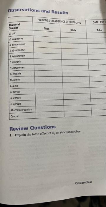 Solved Observations and Resulte Review Questions 1. Explain | Chegg.com