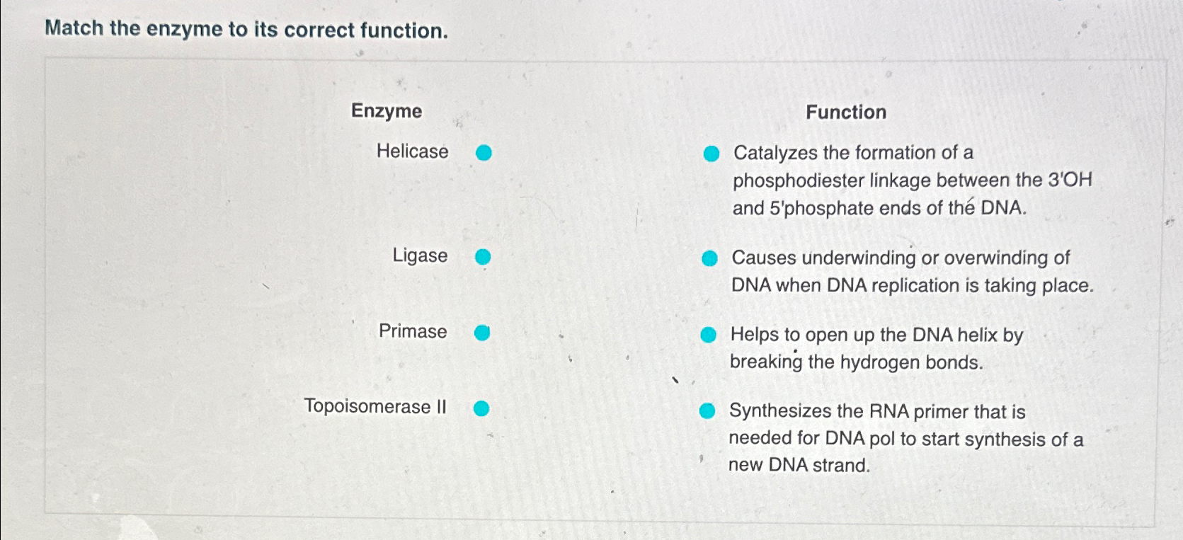 Solved Match the enzyme to its correct | Chegg.com