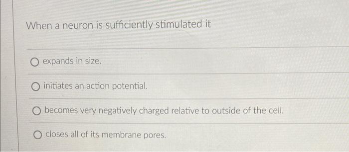 Solved When a neuron is sufficiently stimulated it O expands | Chegg.com