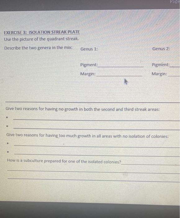 Solved Description Take a look at the following pictures. | Chegg.com