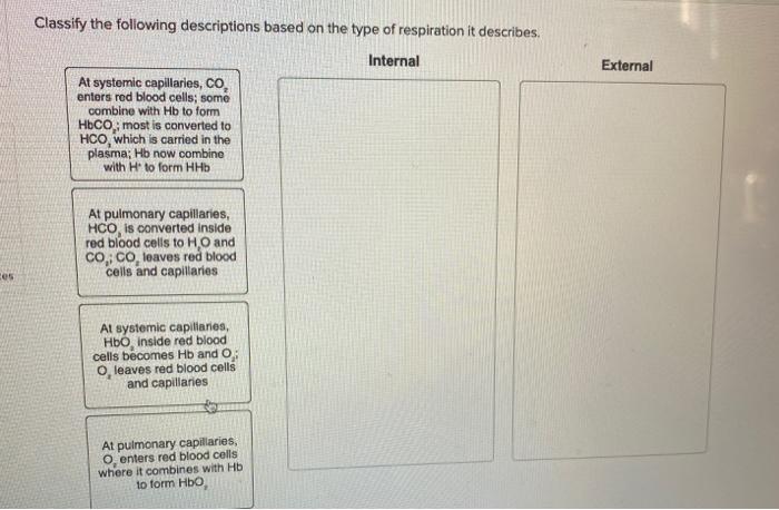 Solved External Classify the following descriptions based on | Chegg.com