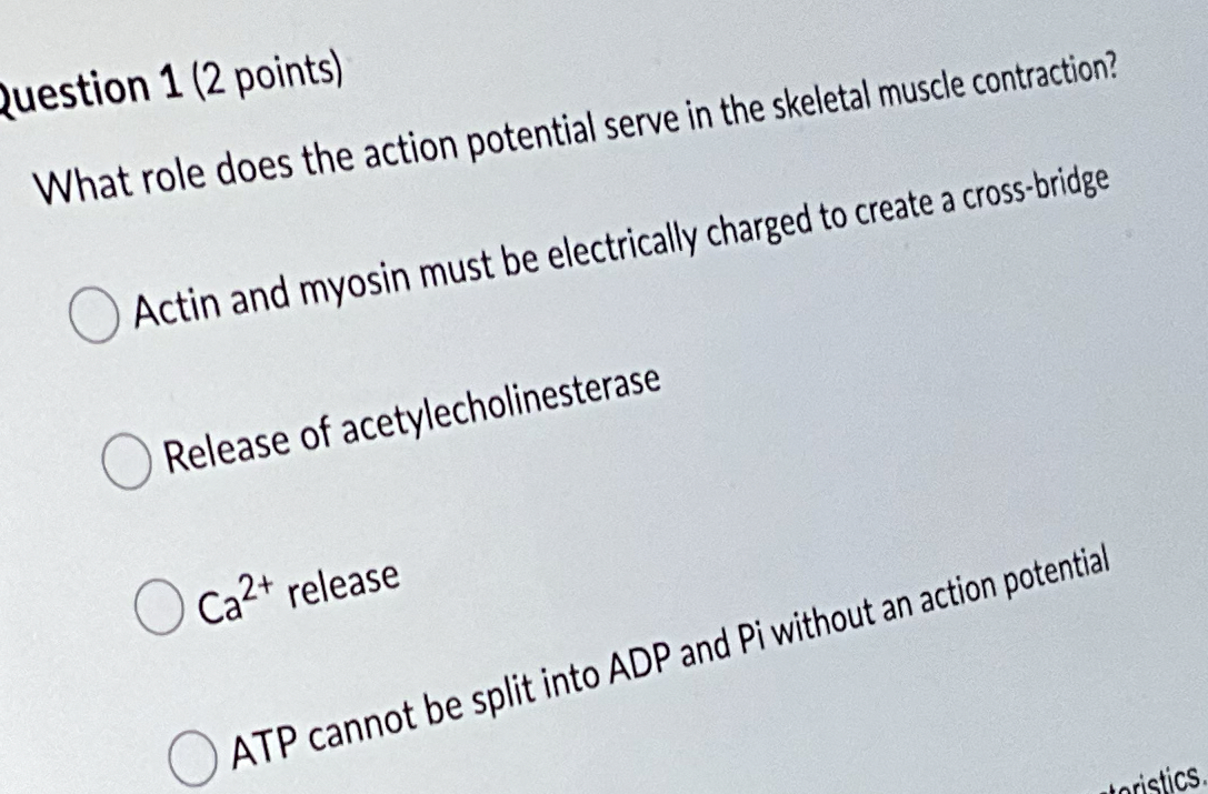 Solved question 1 (2 ﻿points)What role does the action | Chegg.com