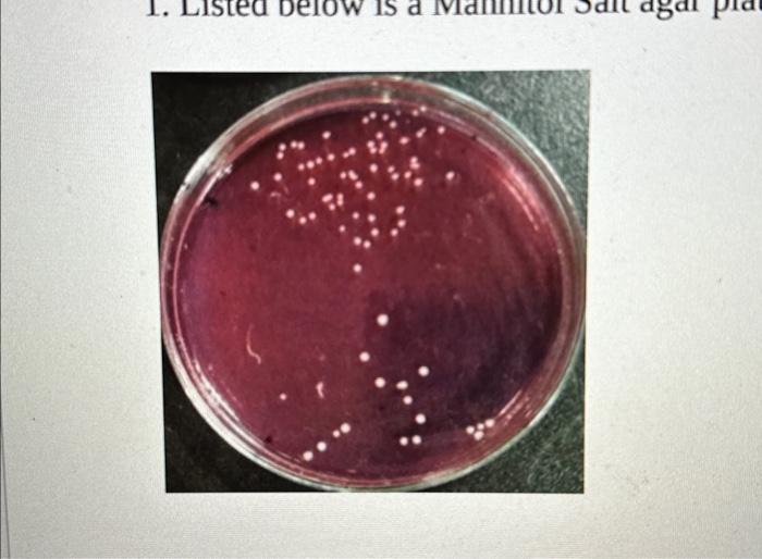 Solved listed below is a mannitol salt agar plate. what can | Chegg.com