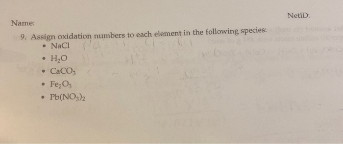 Solved NetID: Name: 9. Assign oxidation numbers to each | Chegg.com