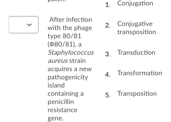 Solved 1. Conjugation 2. Conjugative transposition 3. | Chegg.com