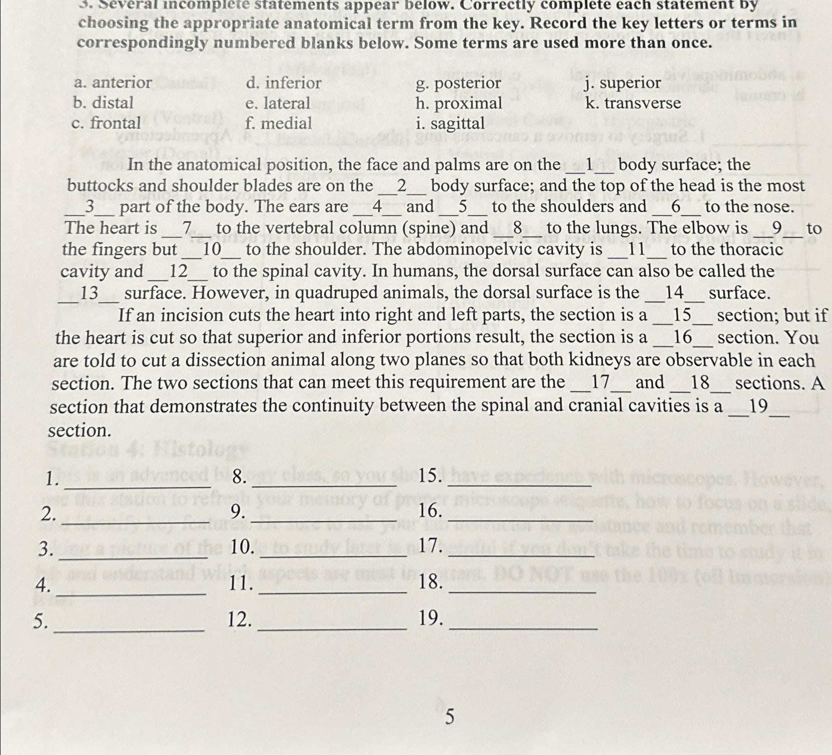 Solved choosing the appropriate anatomical term from the | Chegg.com